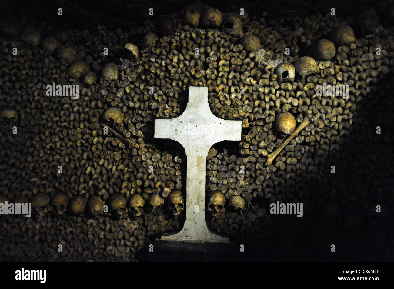 Inside the catacombs of Paris, where thousands of bones and skulls from ...