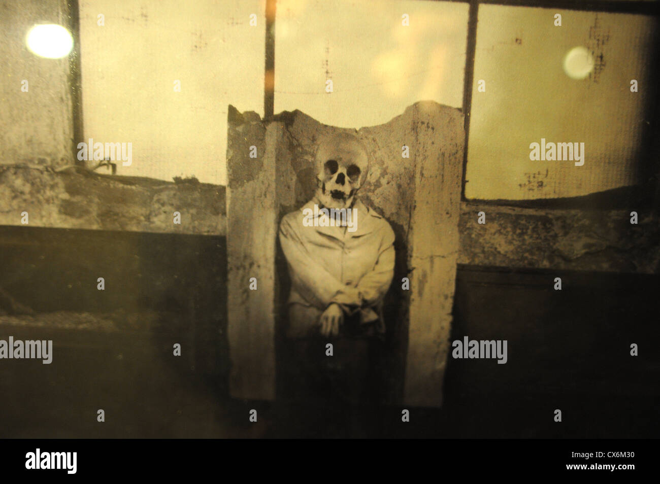 Picture of the skeleton and skull of a dead child in the catacombs of ...