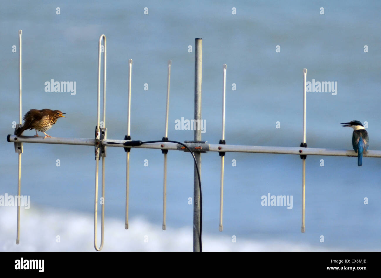 Aerial Fight High Resolution Stock Photography and Images - Alamy