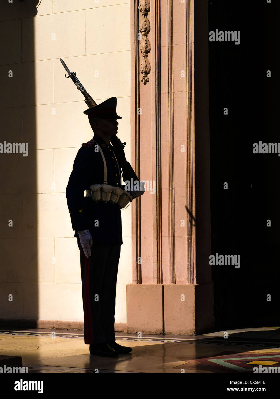 Soldier Standing Guard