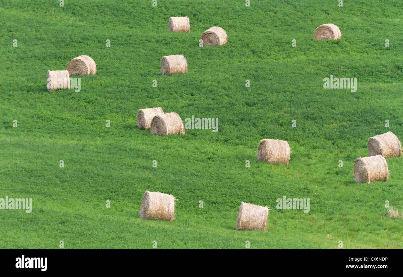 Hay Bale and green grass Stock Photo - Alamy