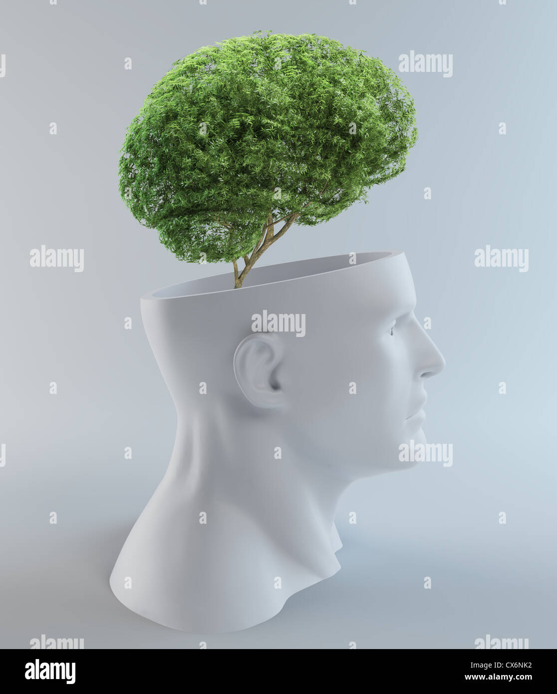 Human head and tree illustration hi-res stock photography and images ...