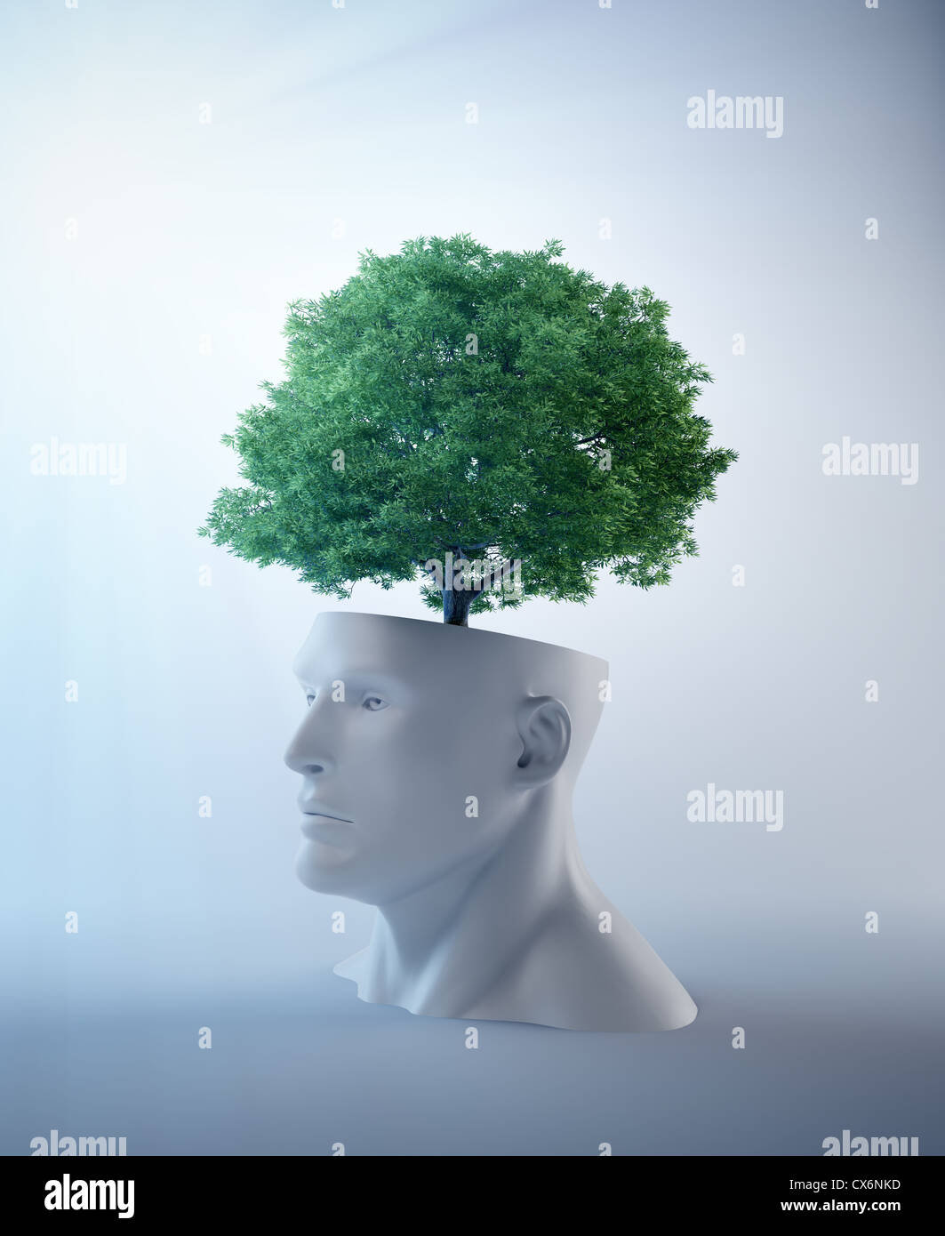 Tree growing out of an abstract head - creativity and psychology ...