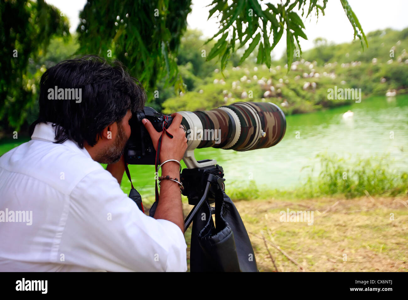 Indian Wildlife Stock Photos & Indian Wildlife Stock Images - Alamy