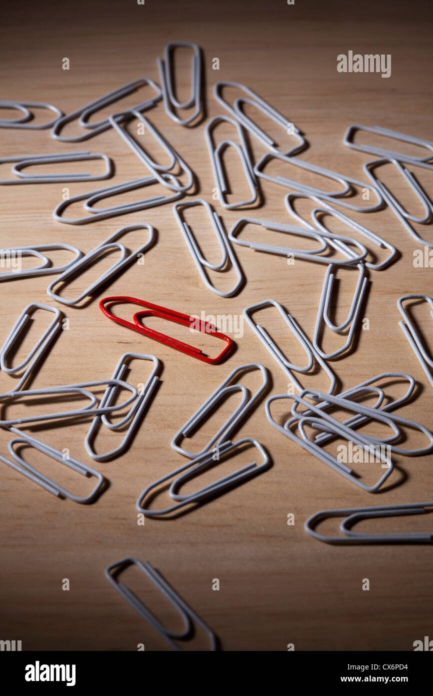 A red paperclip in the middle of a bunch white paperclips Stock Photo ...