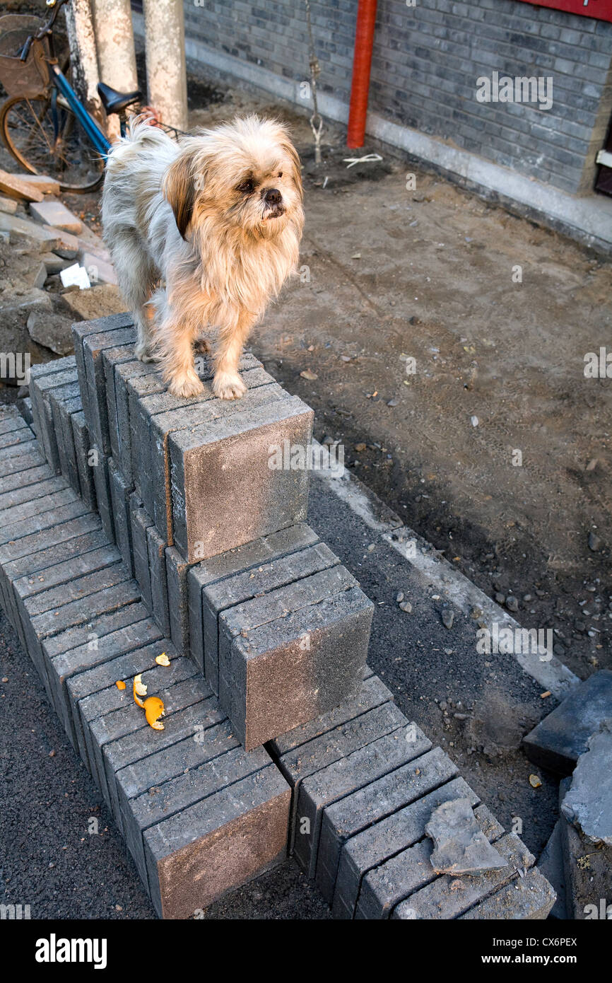 Hutongs hi-res stock photography and images - Alamy