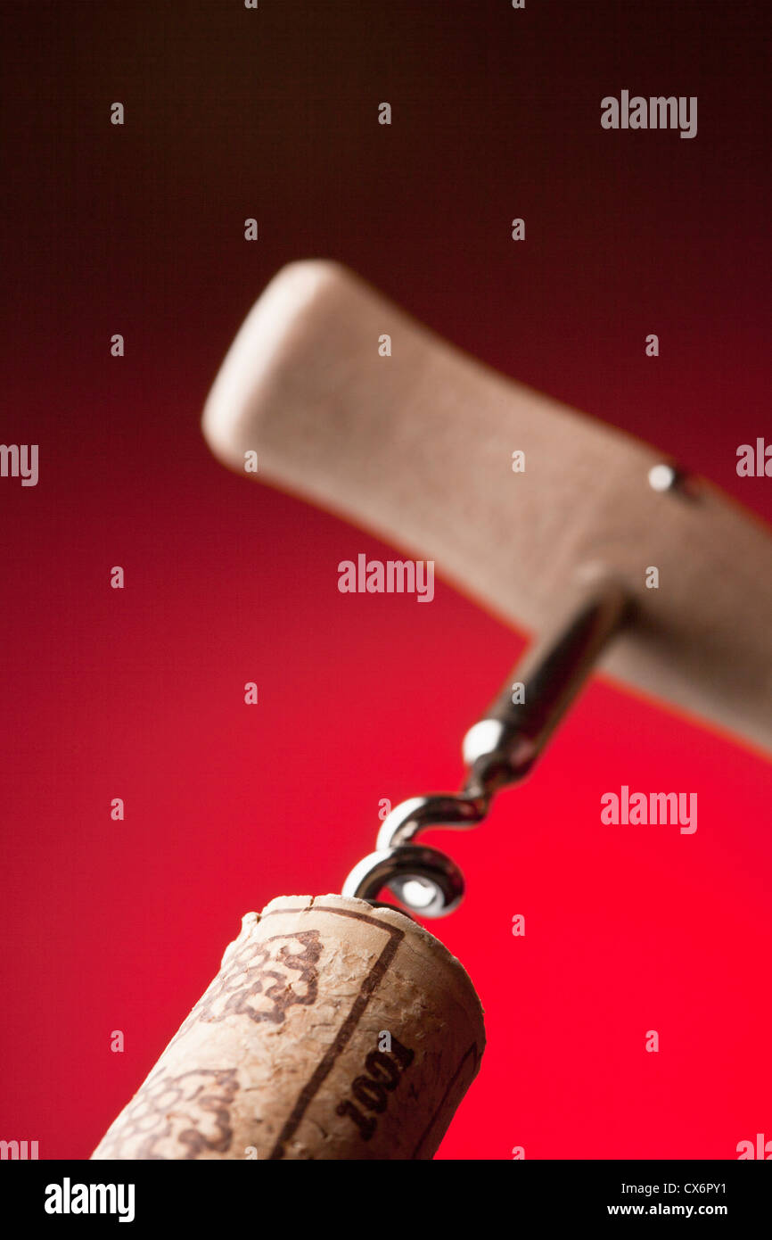 Corkscrew in cork Stock Photo - Alamy
