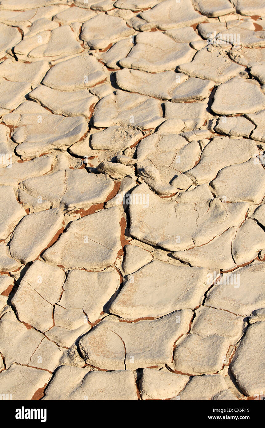 Soil detail of a dry pan, in the Sossusvlei sand dunes, Namib desert ...