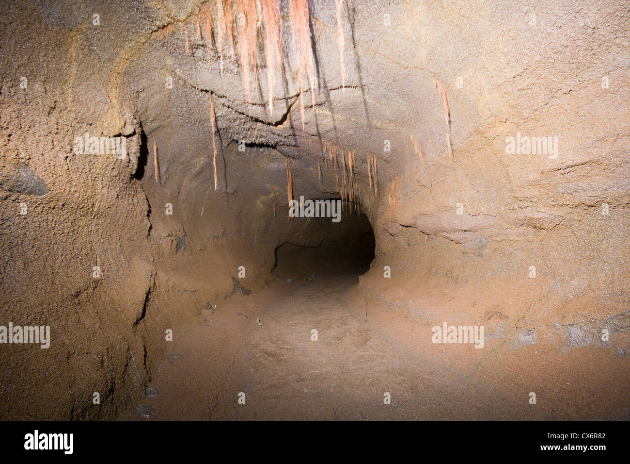 Thurston lava tube hawaii hi-res stock photography and images - Alamy