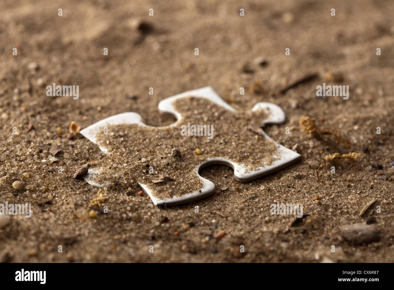 Final piece of the jigsaw hi-res stock photography and images - Alamy