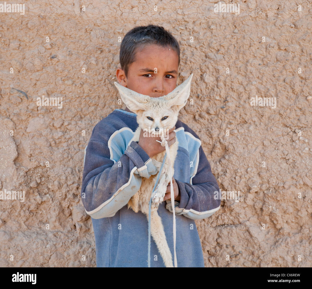 A boy holding a desert fox in the small desert town of Merzouga ...