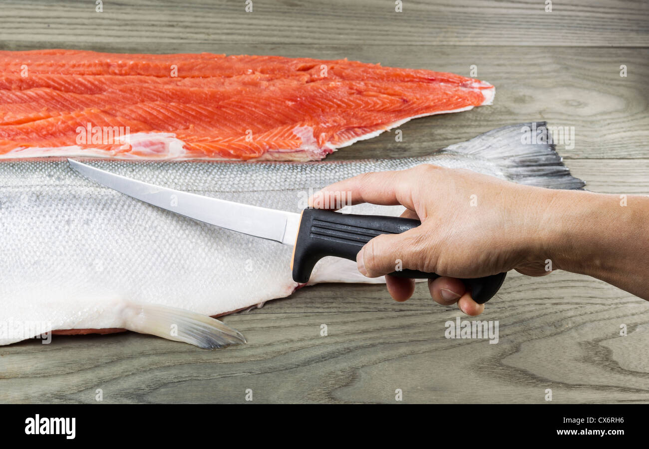 Hand cutting wild salmon into fillets with faded wood in background ...