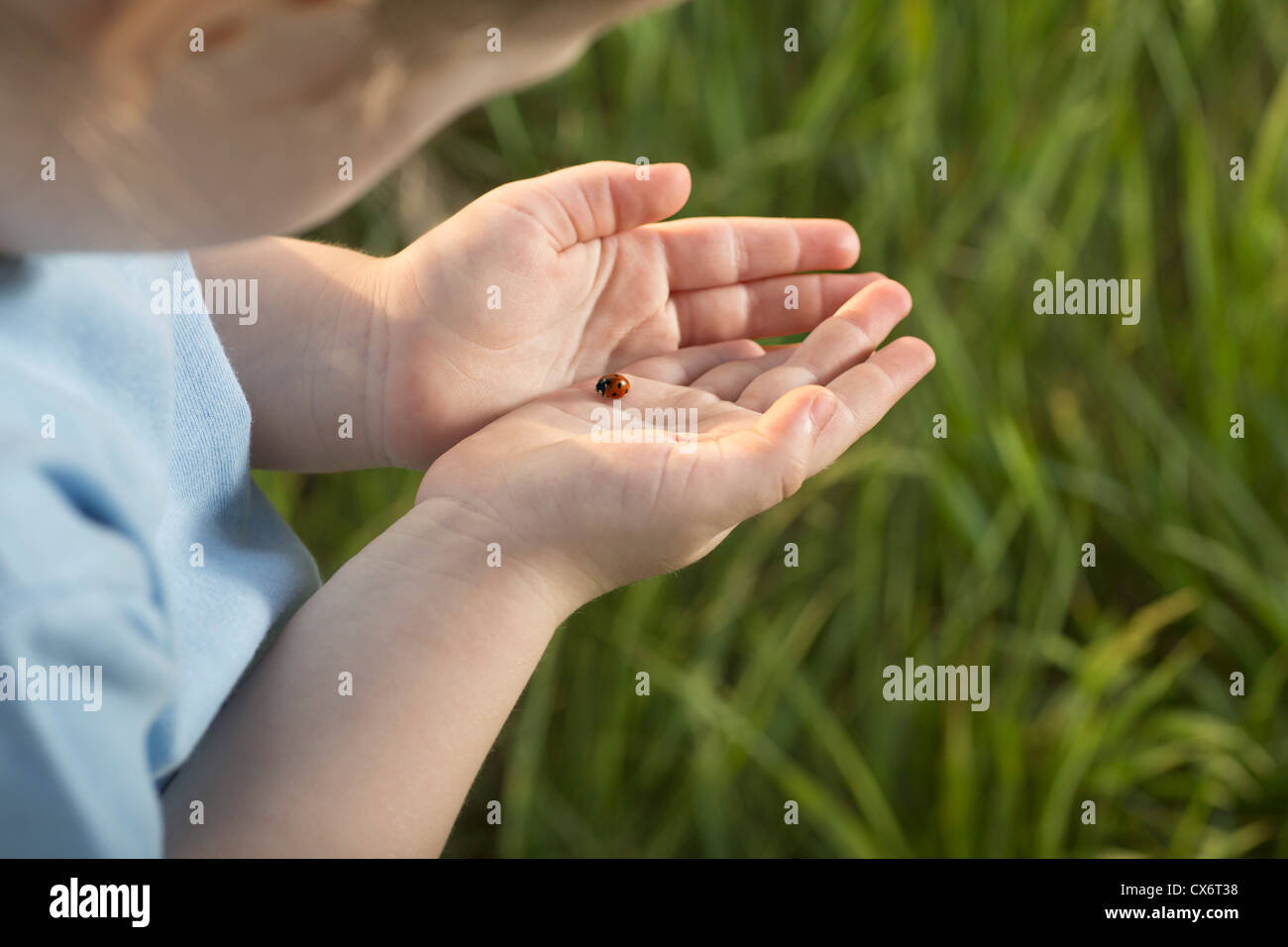 Girls with a beetle hi-res stock photography and images - Alamy