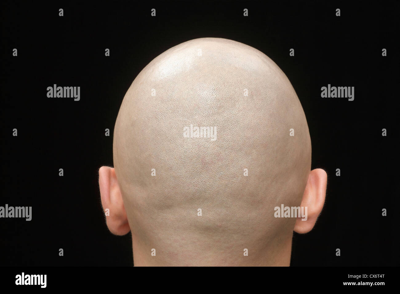 Rear view of the shaved head of a man Stock Photo - Alamy