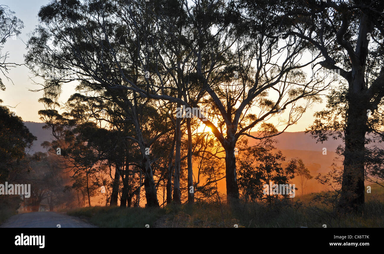 Country Road sunset Stock Photo - Alamy