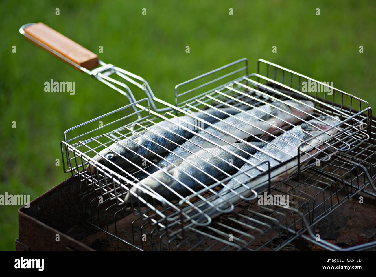 Fish on a barbeque grill Stock Photo - Alamy