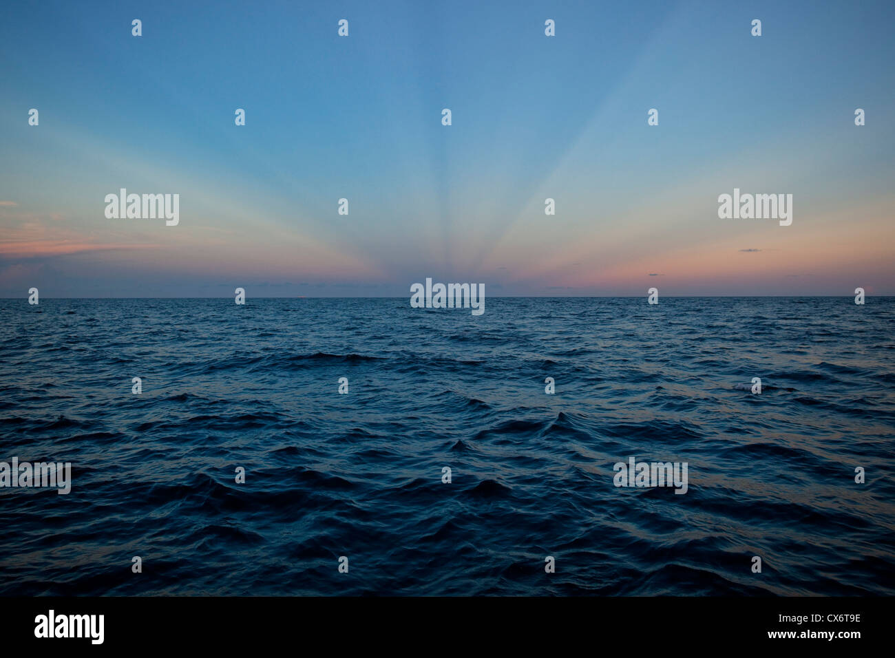 Ecosistema florida hi-res stock photography and images - Alamy