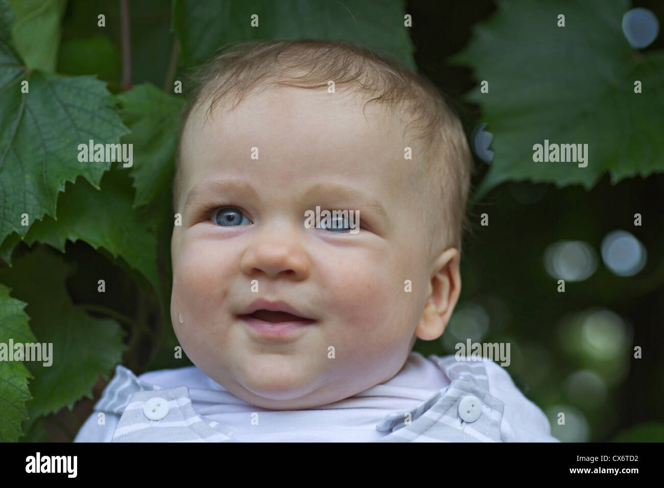 Baby tear drop hi-res stock photography and images - Alamy
