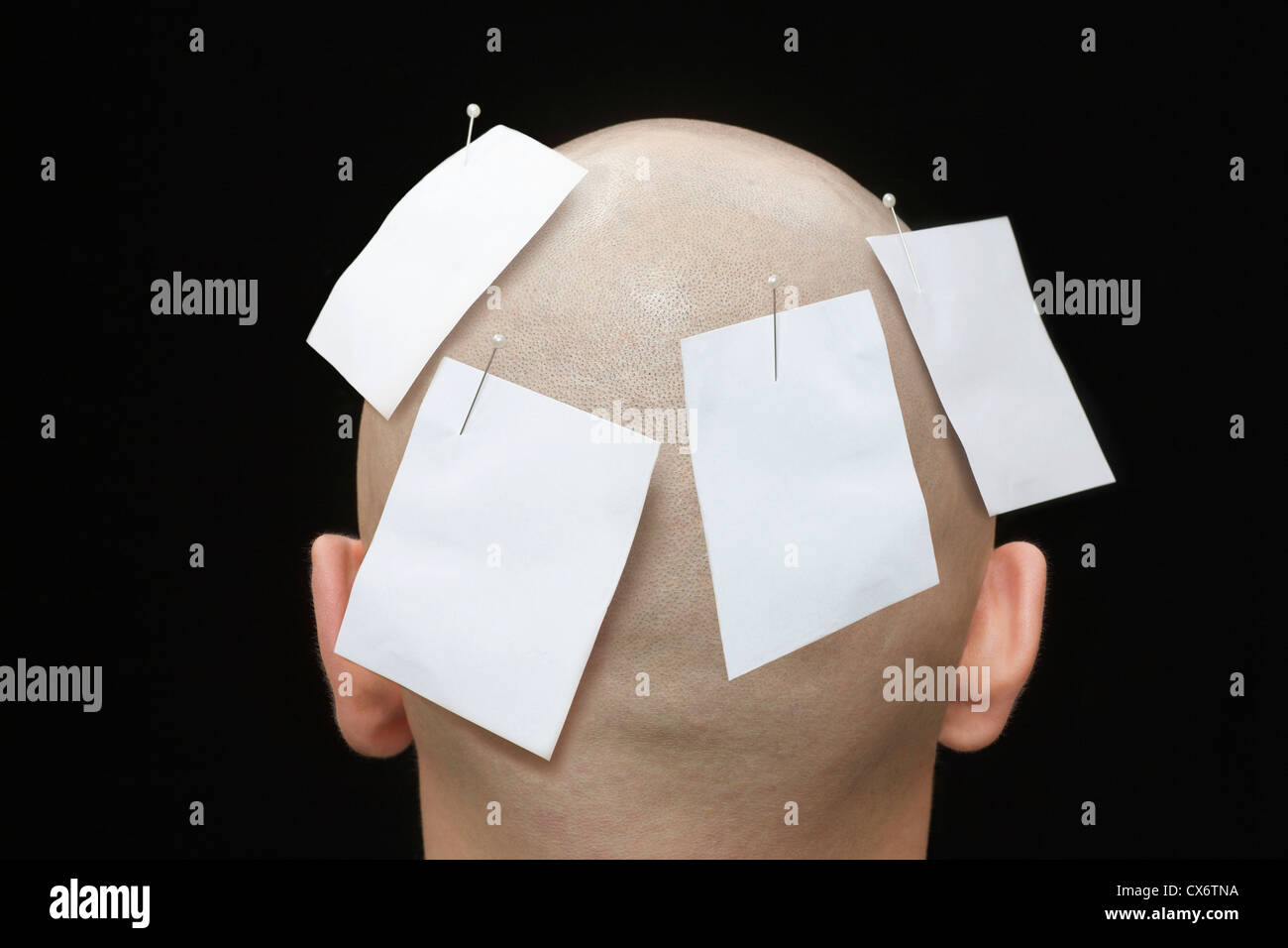 Blank white male head back hi-res stock photography and images - Alamy