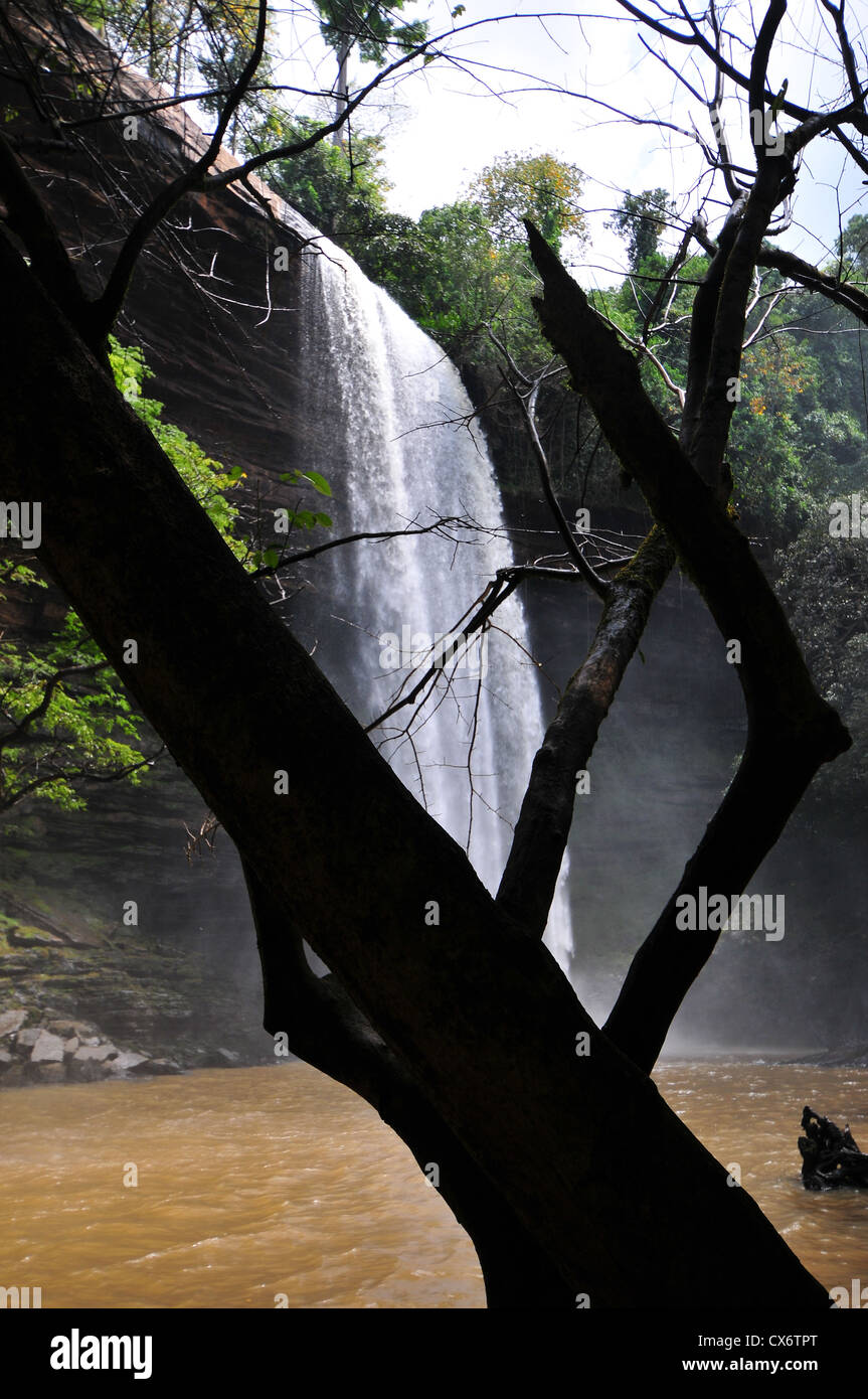 Boti Falls is a 30m high waterfall within the Boti Forest Reserve about ...