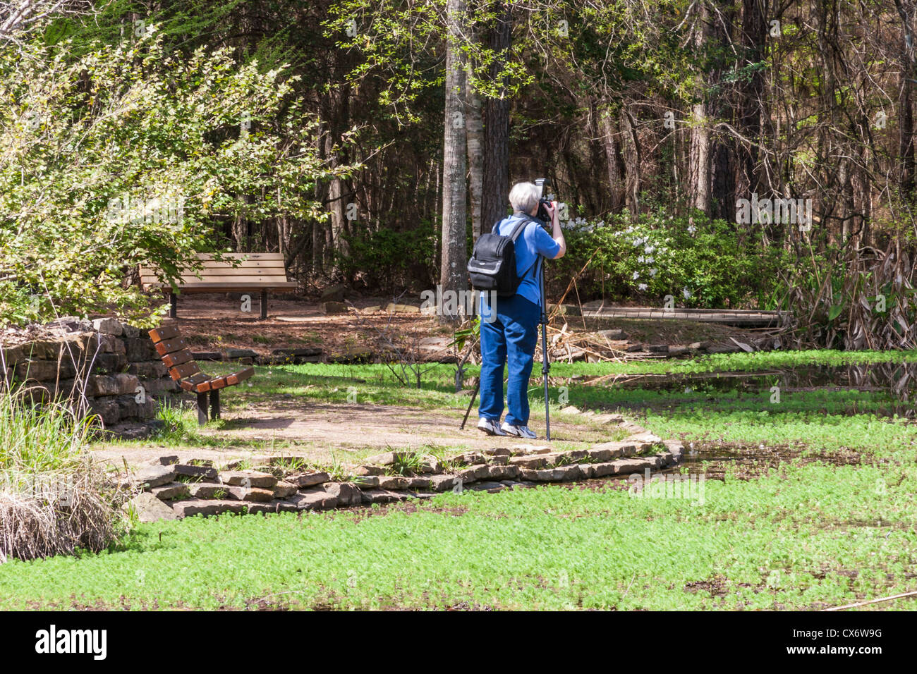 Mercer Arboretum And Botanical Gardens High Resolution Stock ...