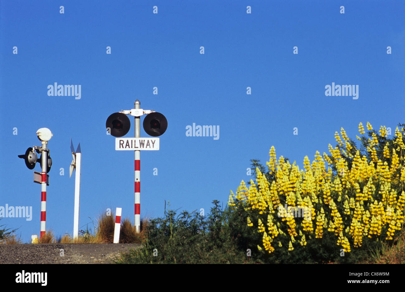 Railway crossing, New Zealand Stock Photo - Alamy