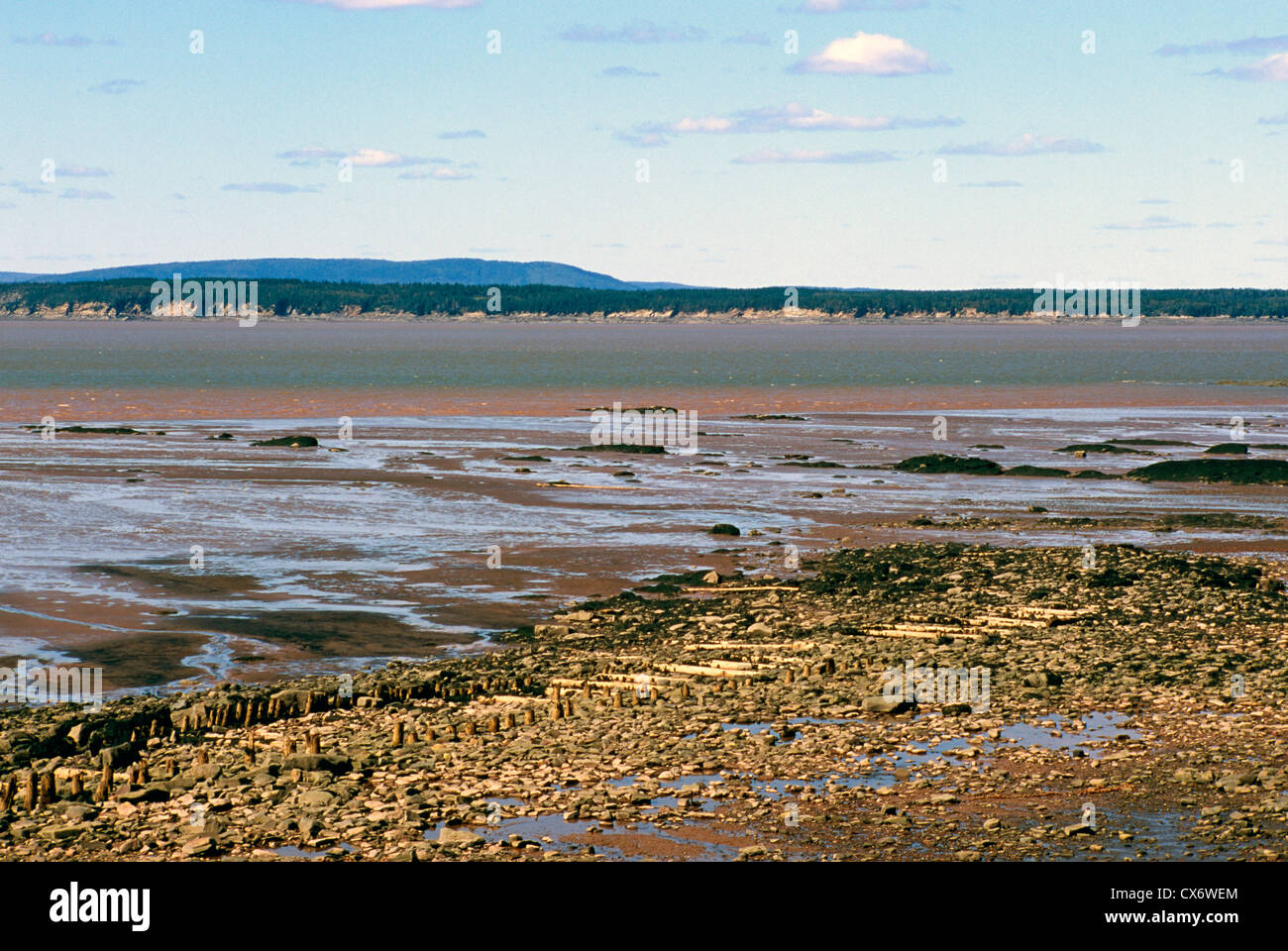 Joggins mudflats tidal mud flats hi-res stock photography and images ...