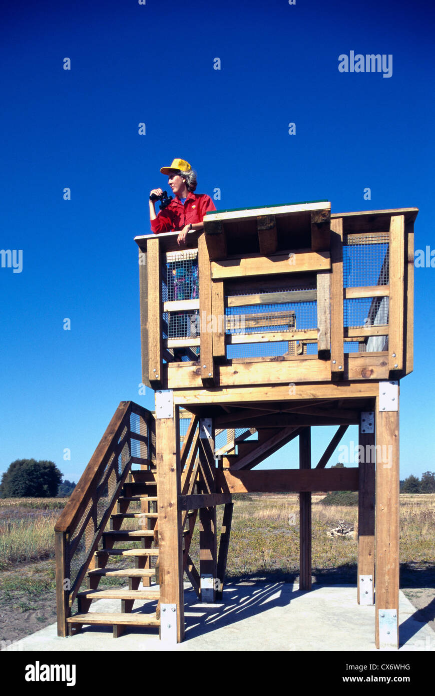 Birdwatcher bird watching for Birds from Wildlife Observation Tower ...