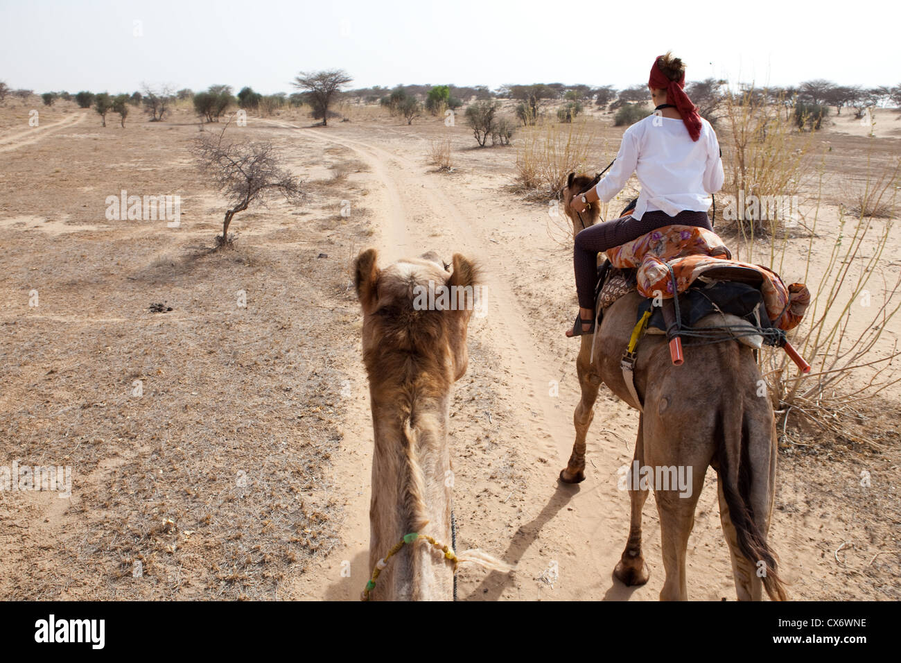 Camel trekking in india hi-res stock photography and images - Alamy