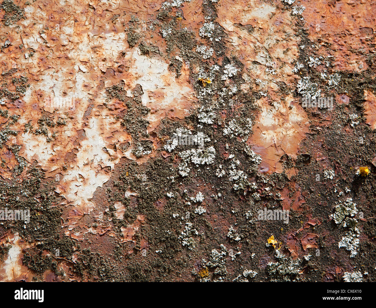 Moss metal hi-res stock photography and images - Alamy