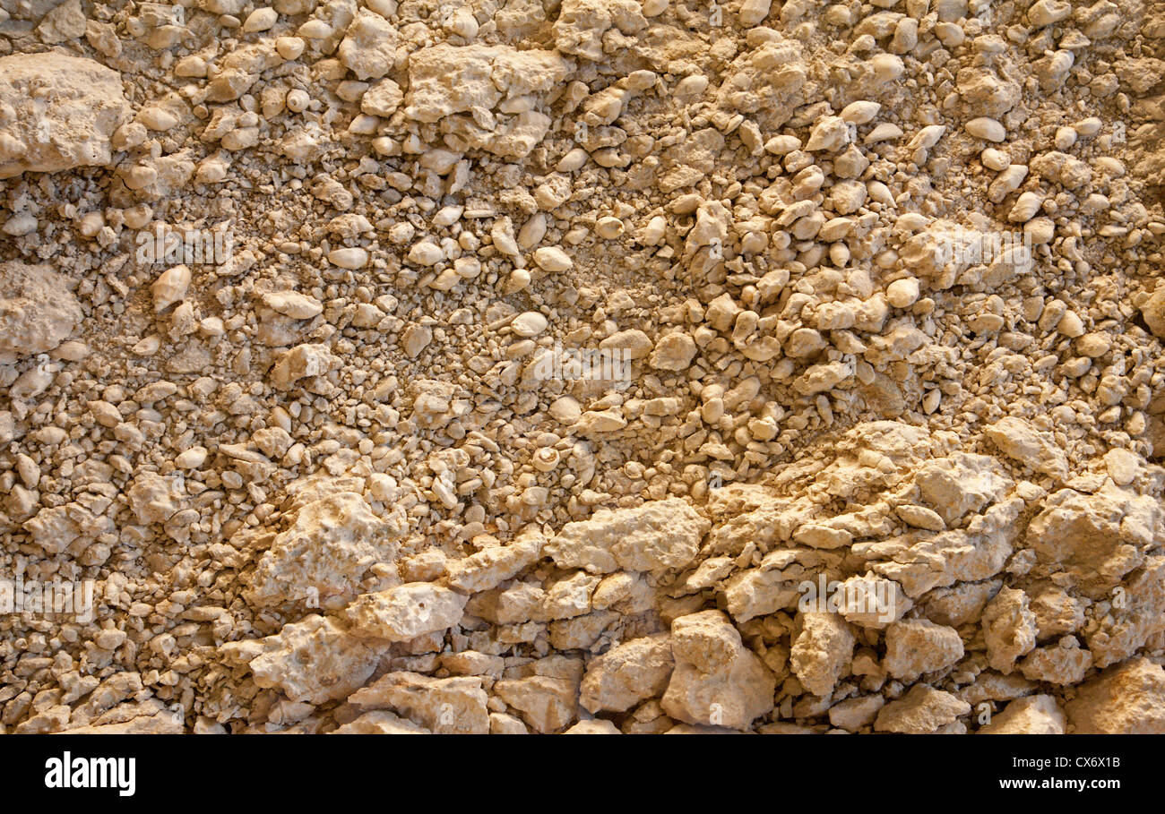 calcite - fossil from prehistory ocean Stock Photo - Alamy