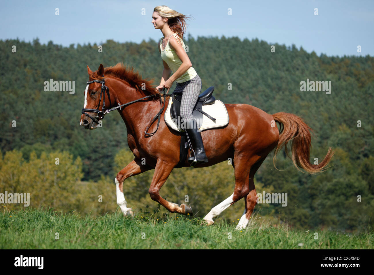 Horse rider moving hi-res stock photography and images - Alamy