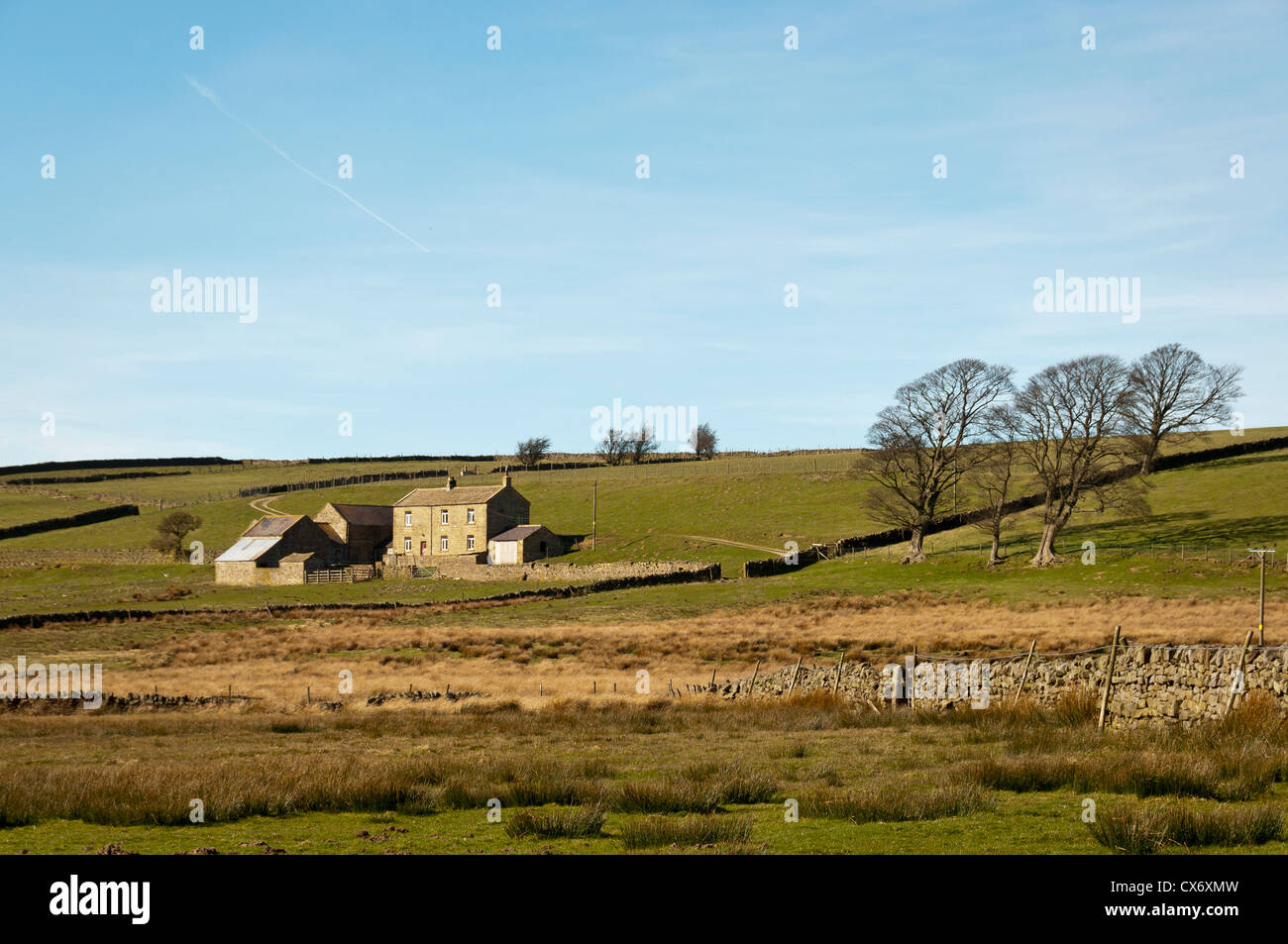 Isolated yorkshire farm hi-res stock photography and images - Alamy