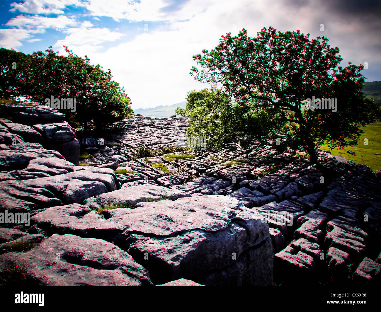 Limestone pavement on Farleton Knott Stock Photo - Alamy