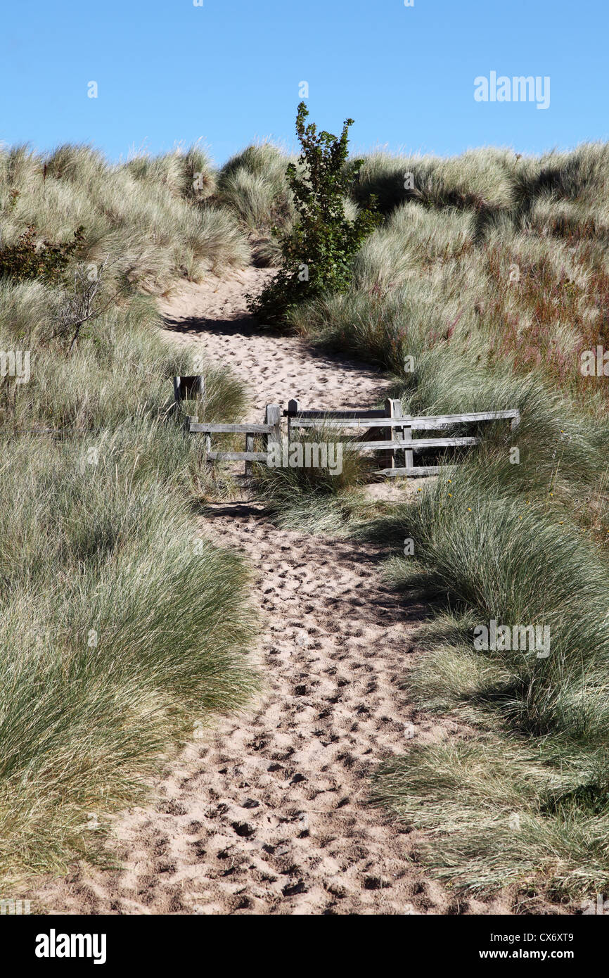 Path through sand dunes Bamburgh north east England UK Stock Photo - Alamy