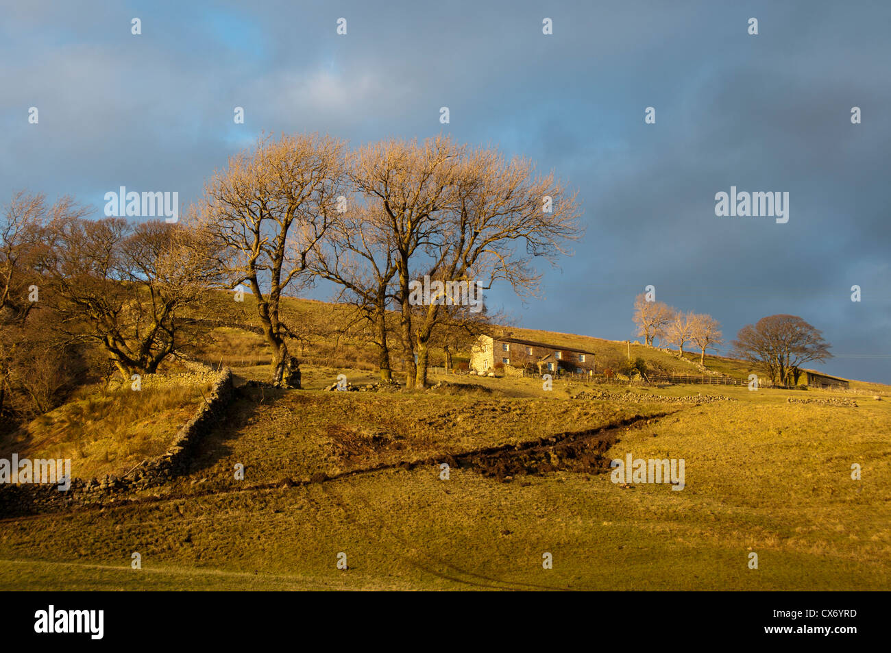 Yorkshire upland farm hi-res stock photography and images - Alamy