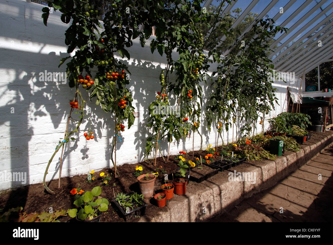 Victorian fruit hi-res stock photography and images - Alamy