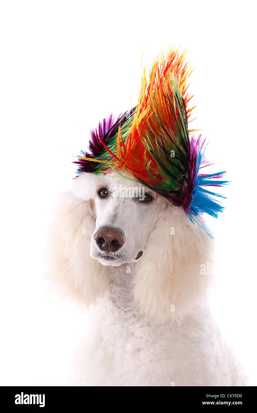 Iroquois locks hi-res stock photography and images - Alamy