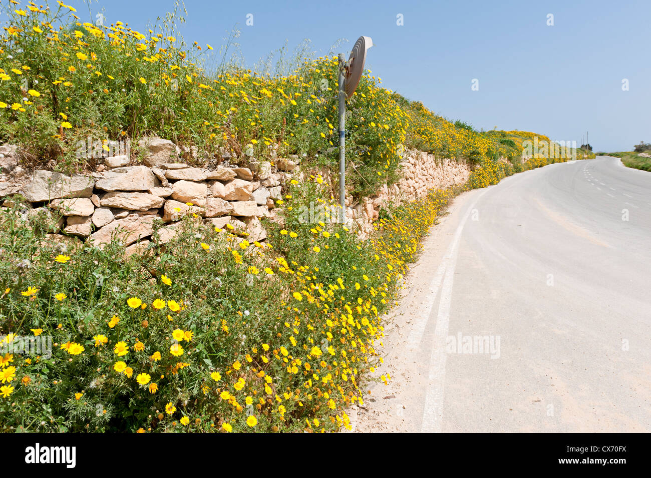Road in Gozo, Malta Stock Photo - Alamy