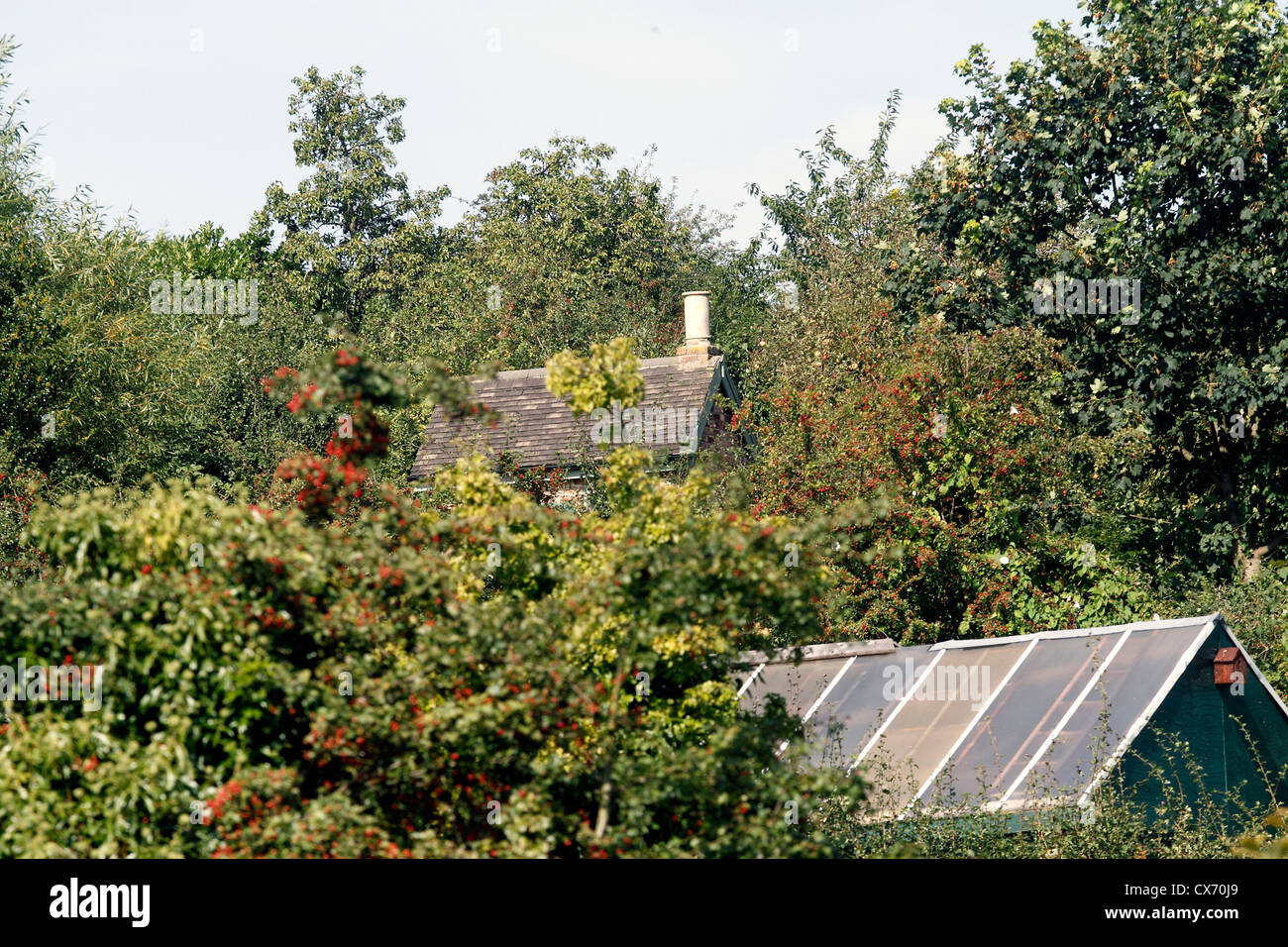 Victorian shed with chimney hi-res stock photography and images - Alamy