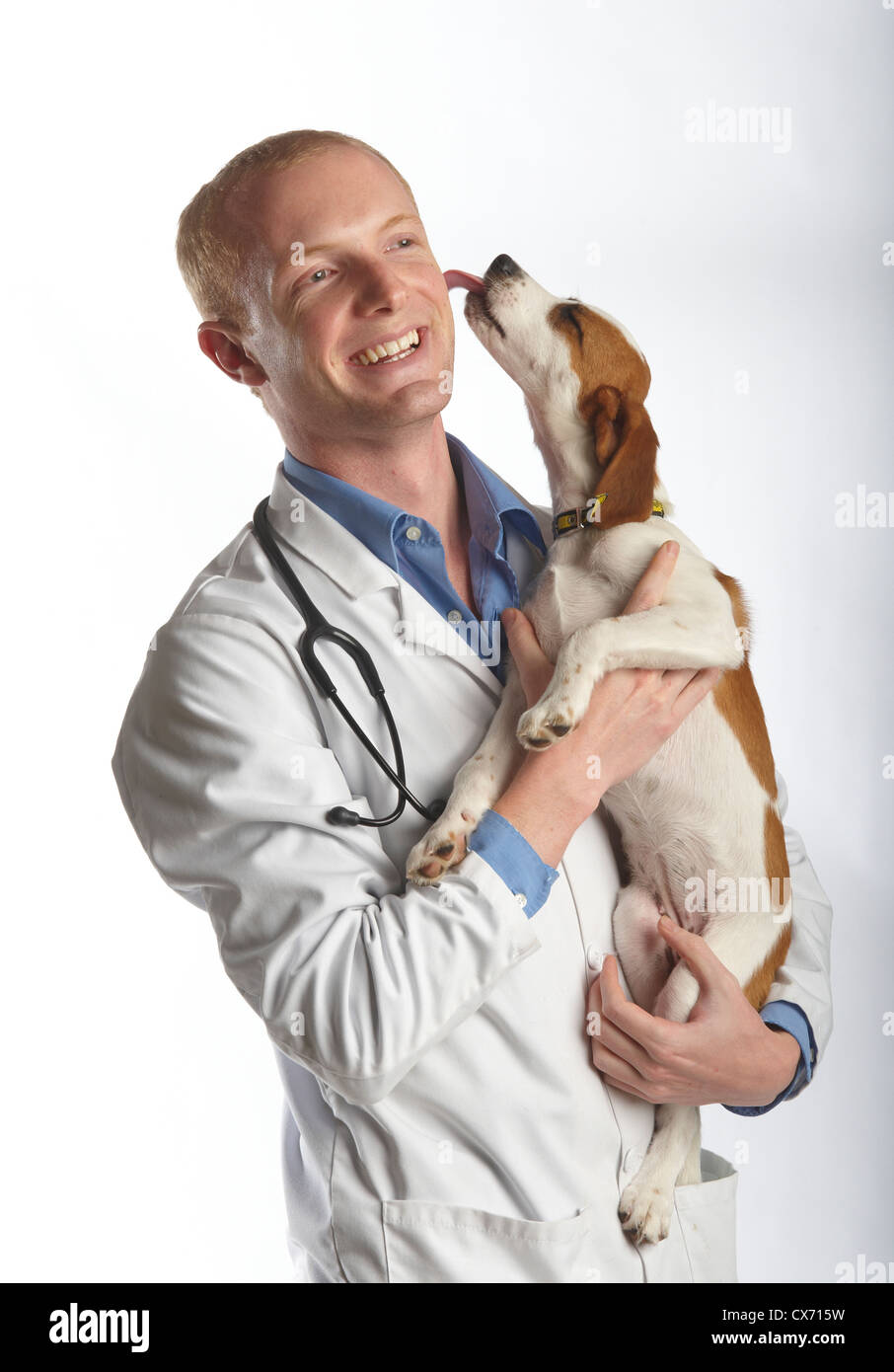 Vetinary and dog hi-res stock photography and images - Alamy