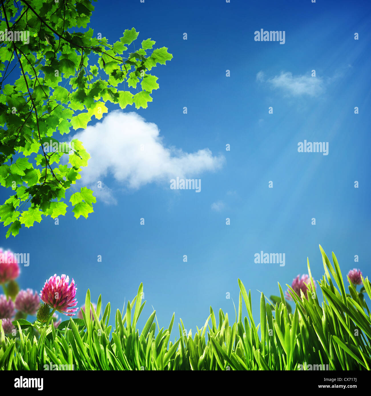 Abstract natural backgrounds for your design Stock Photo - Alamy
