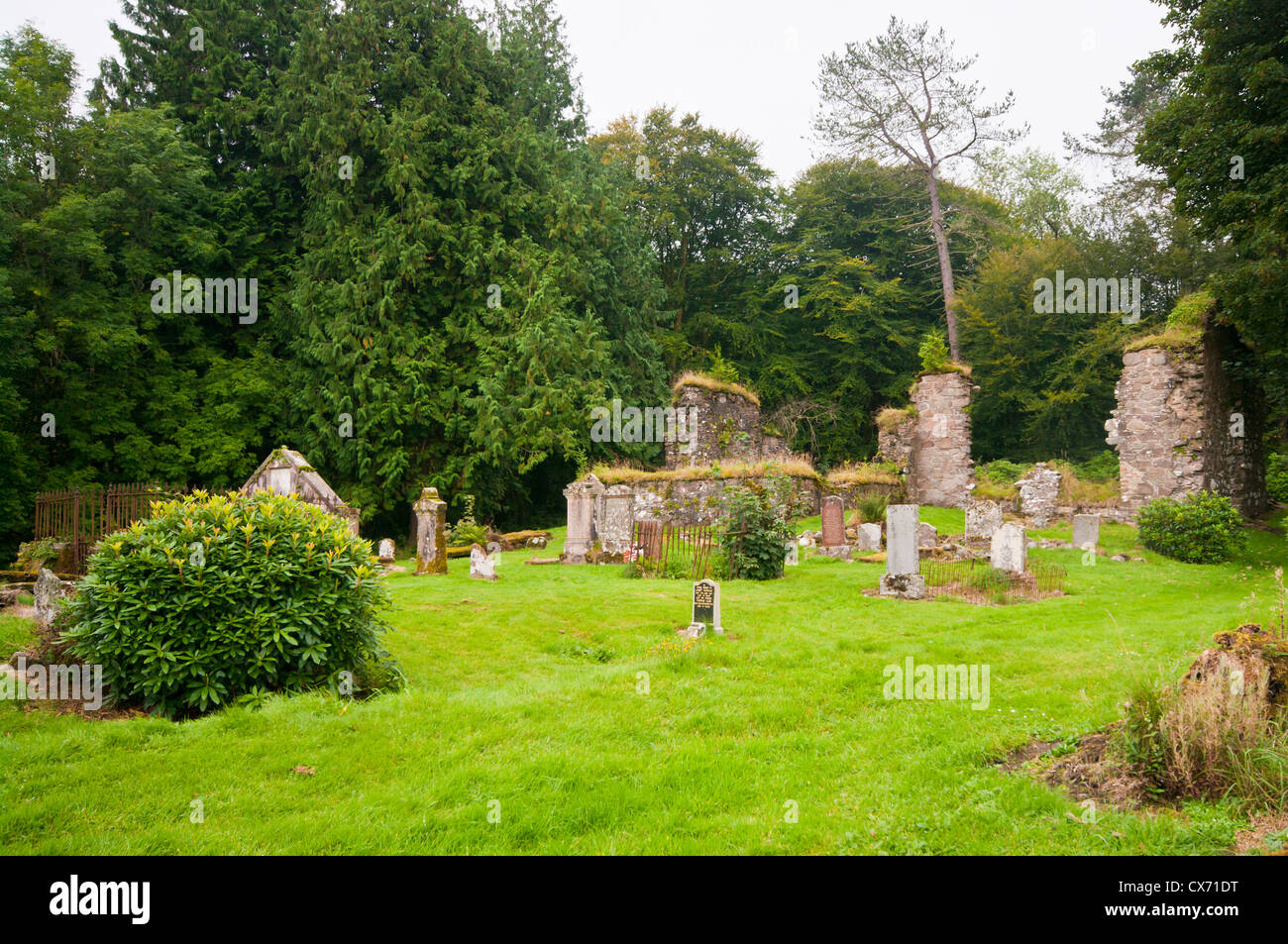 Saddell abbey scotland hi-res stock photography and images - Alamy