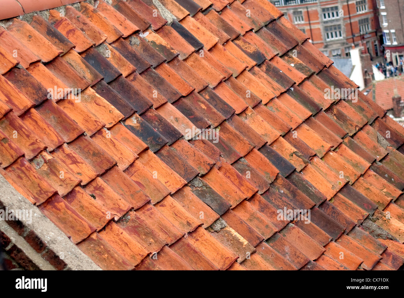 a close up image of the orange and red pantiles on roof Stock Photo - Alamy