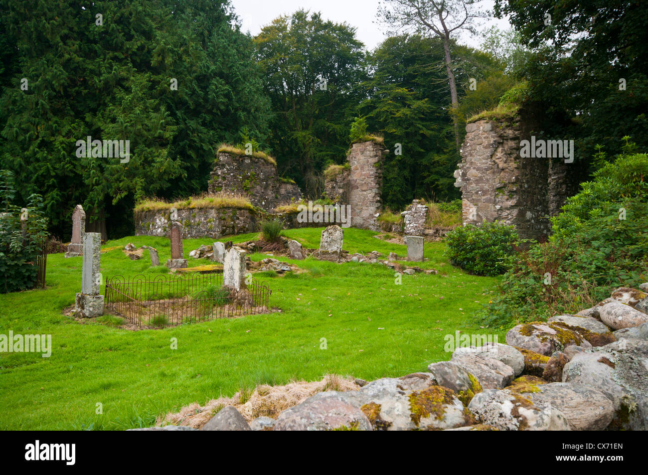 Saddell abbey scotland hi-res stock photography and images - Alamy