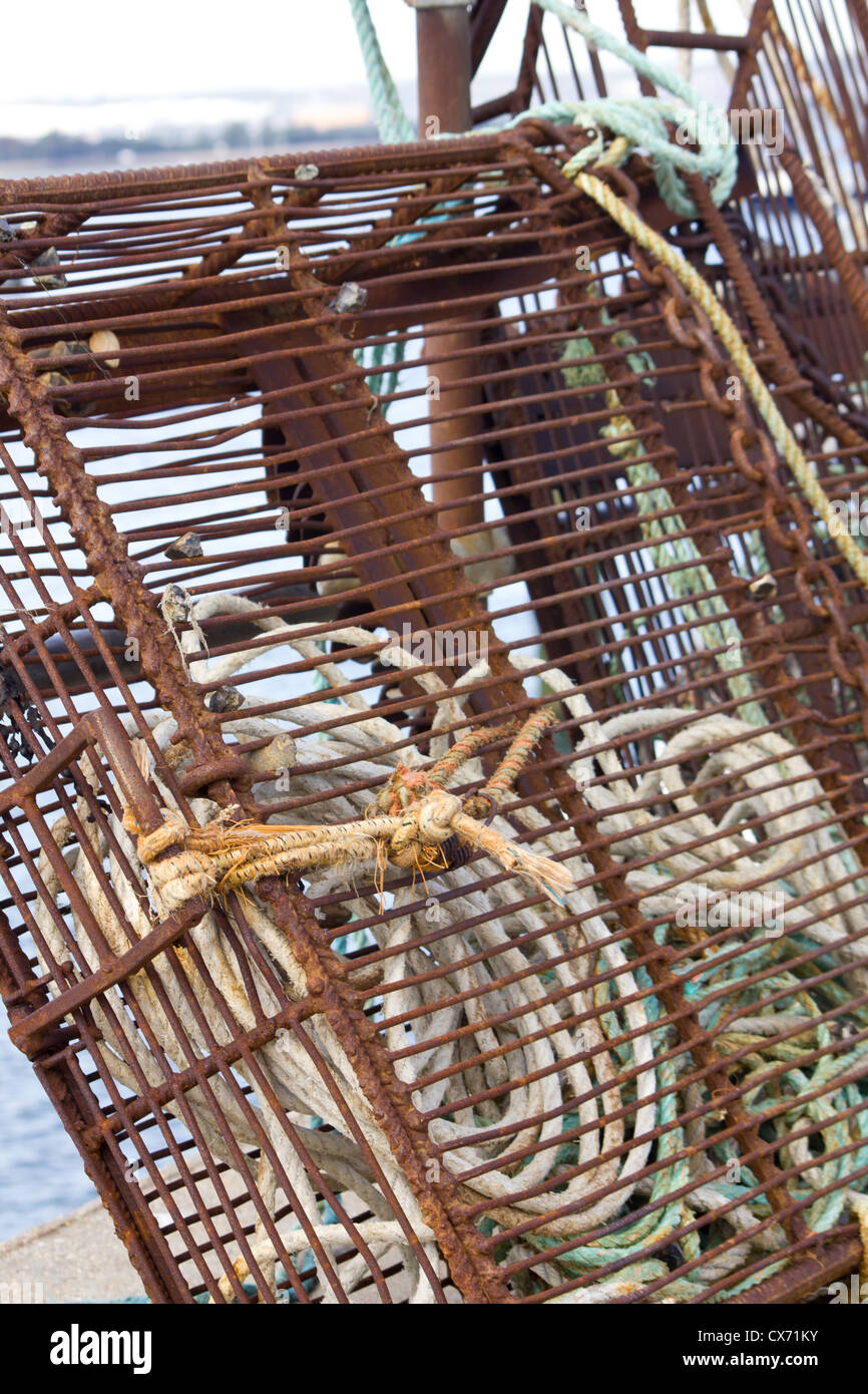 Fish box of lobster hi-res stock photography and images - Alamy