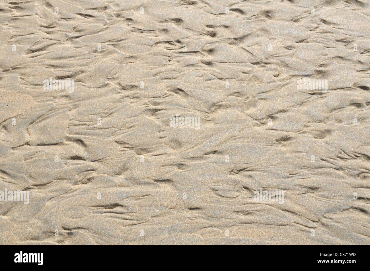 Rippled sand / fluvial ridges on beach / shoreline after tide has just ...