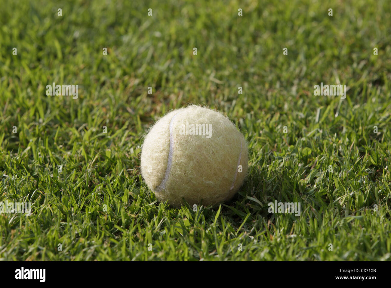 Tennis ball on lawn Stock Photo - Alamy