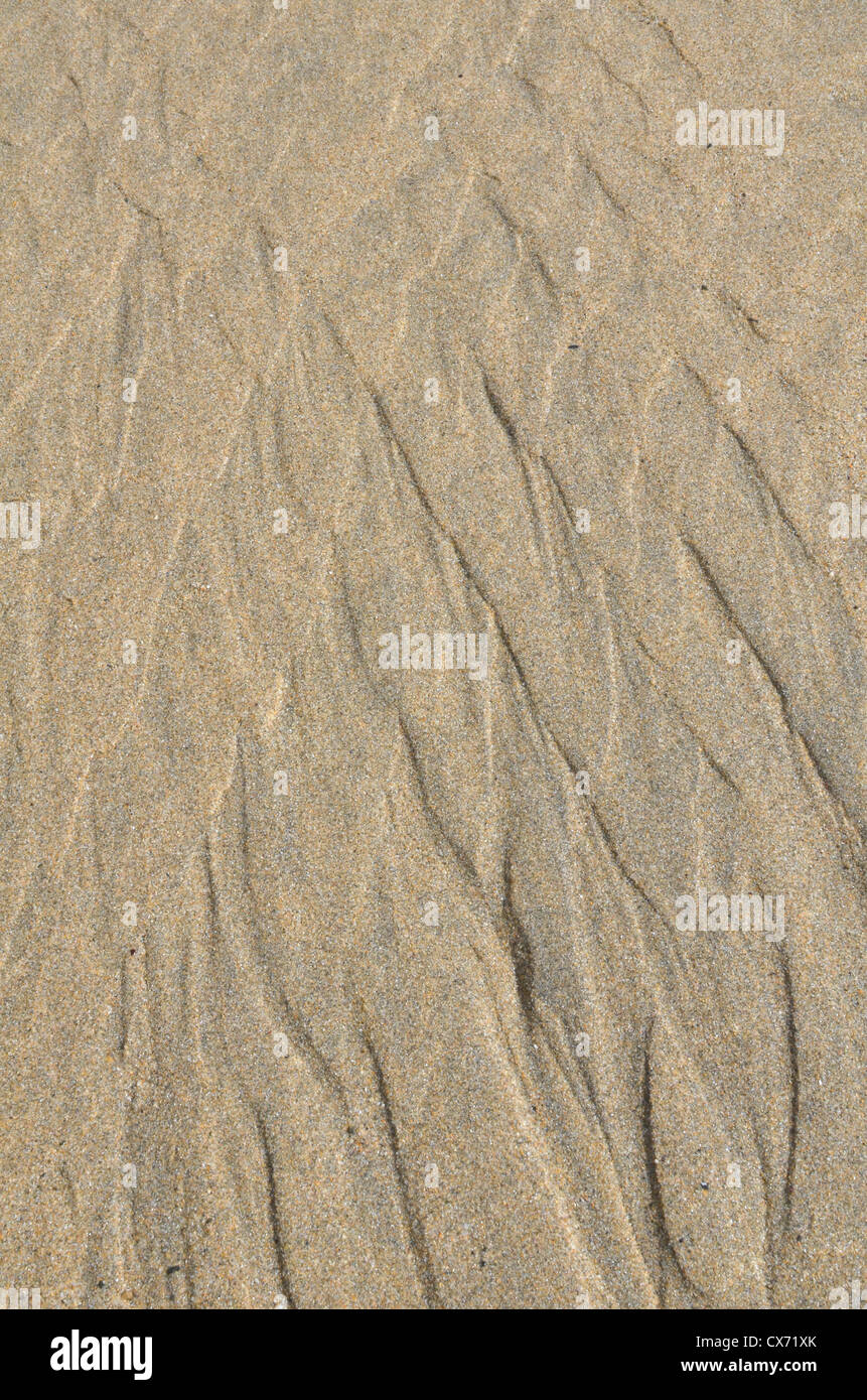Rippled sand / fluvial ridges on beach / shoreline after tide has just ...