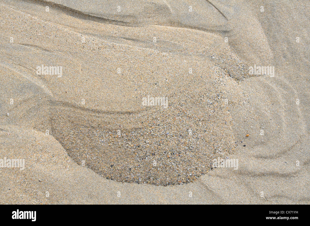 Rippled sand / fluvial ridges on beach / shoreline after tide has ...